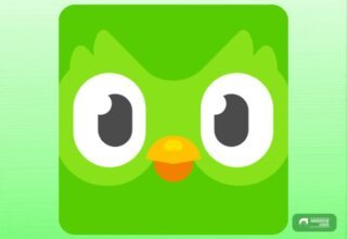 Duolingo - Neues Feature Videocall mit Lilli - jetzt auch auf Android ...